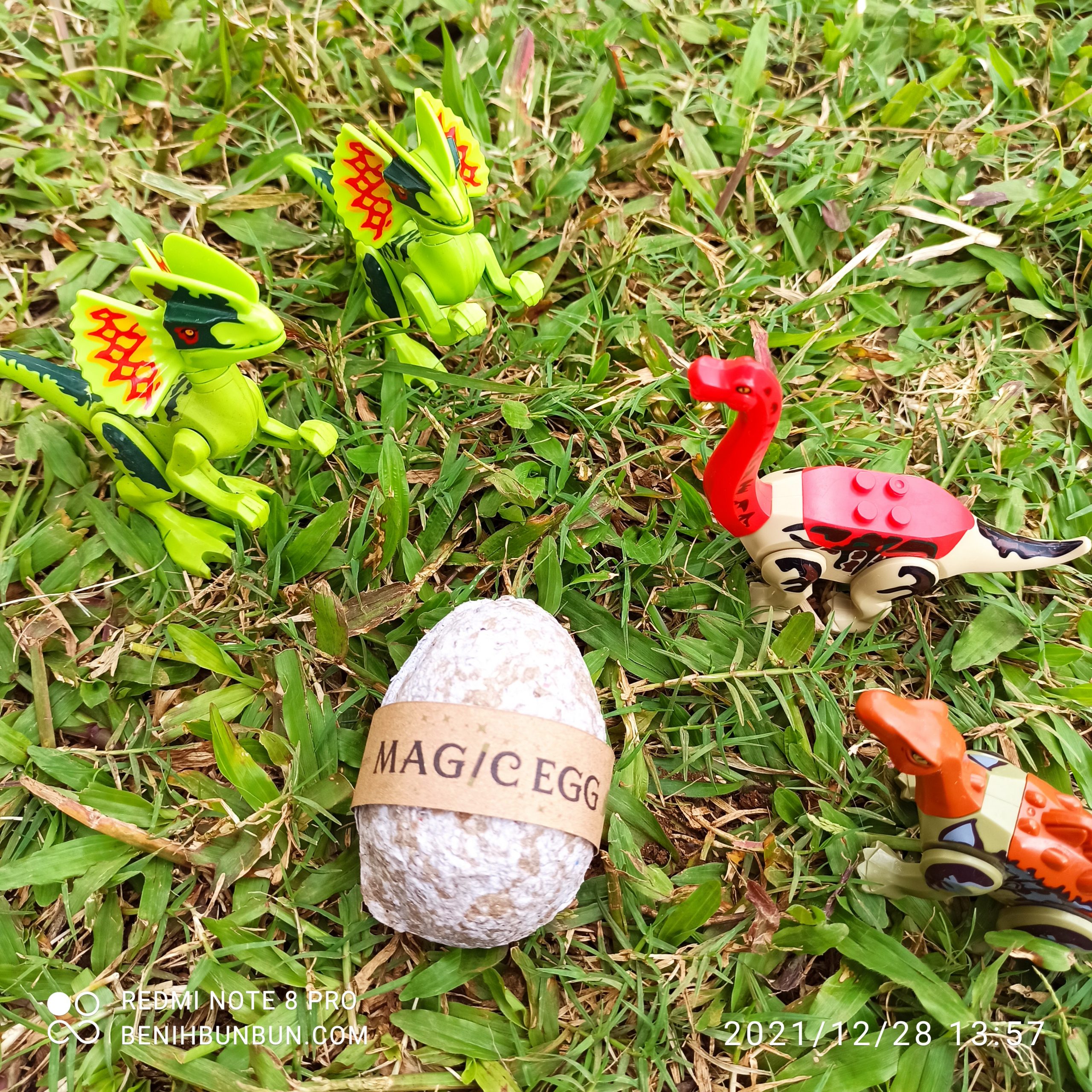 Magic Egg – Telur Kejutan - BenihBunbun